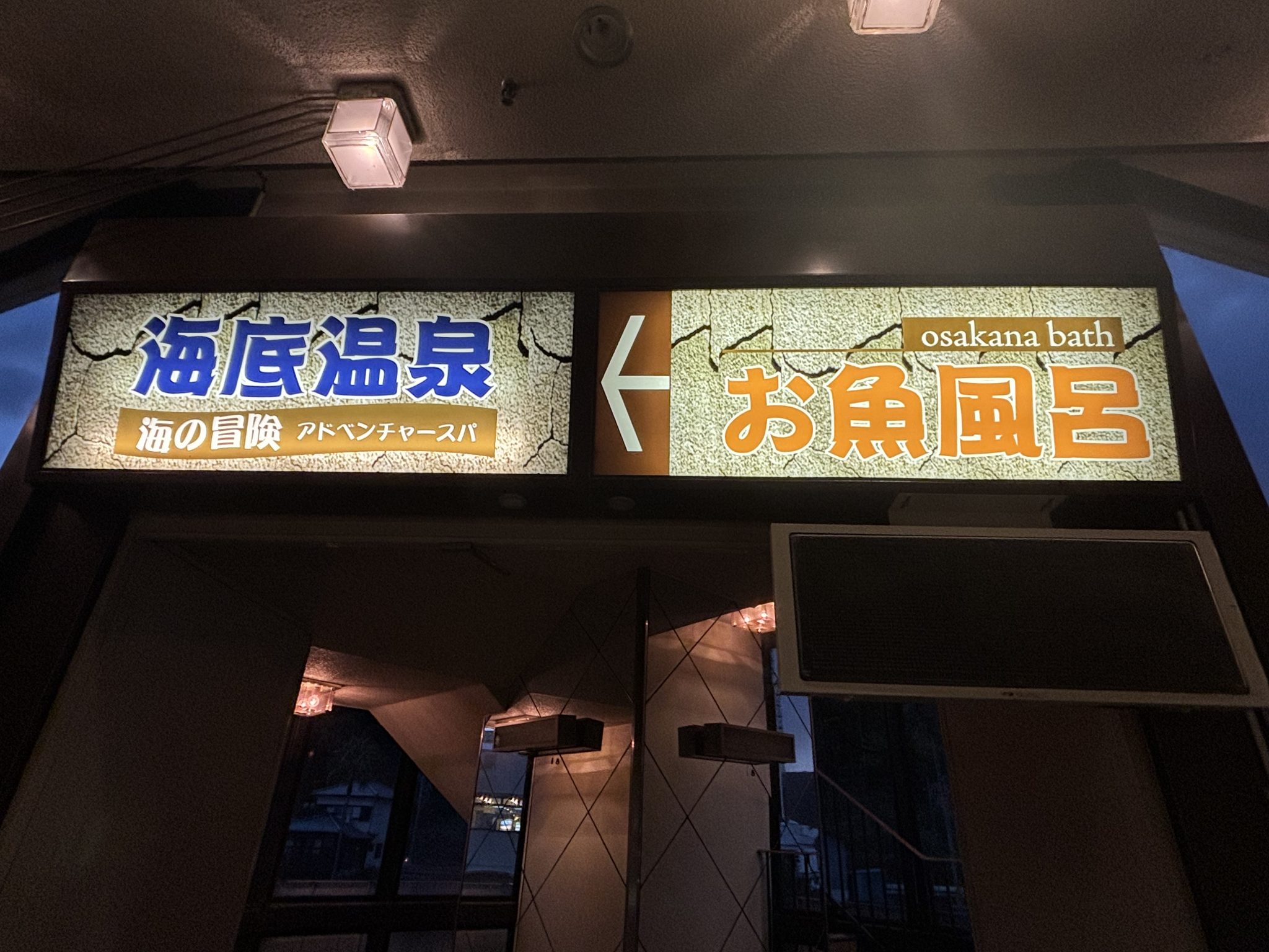 HONZ卒業旅行&忘年会 in 伊豆① - HONZ